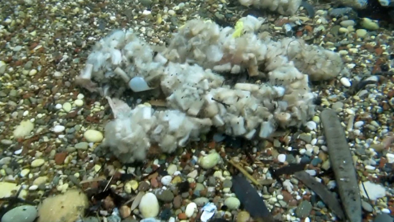 Akdeniz 'izmarit denizi'ne döndü: Ekosistem tehlikede