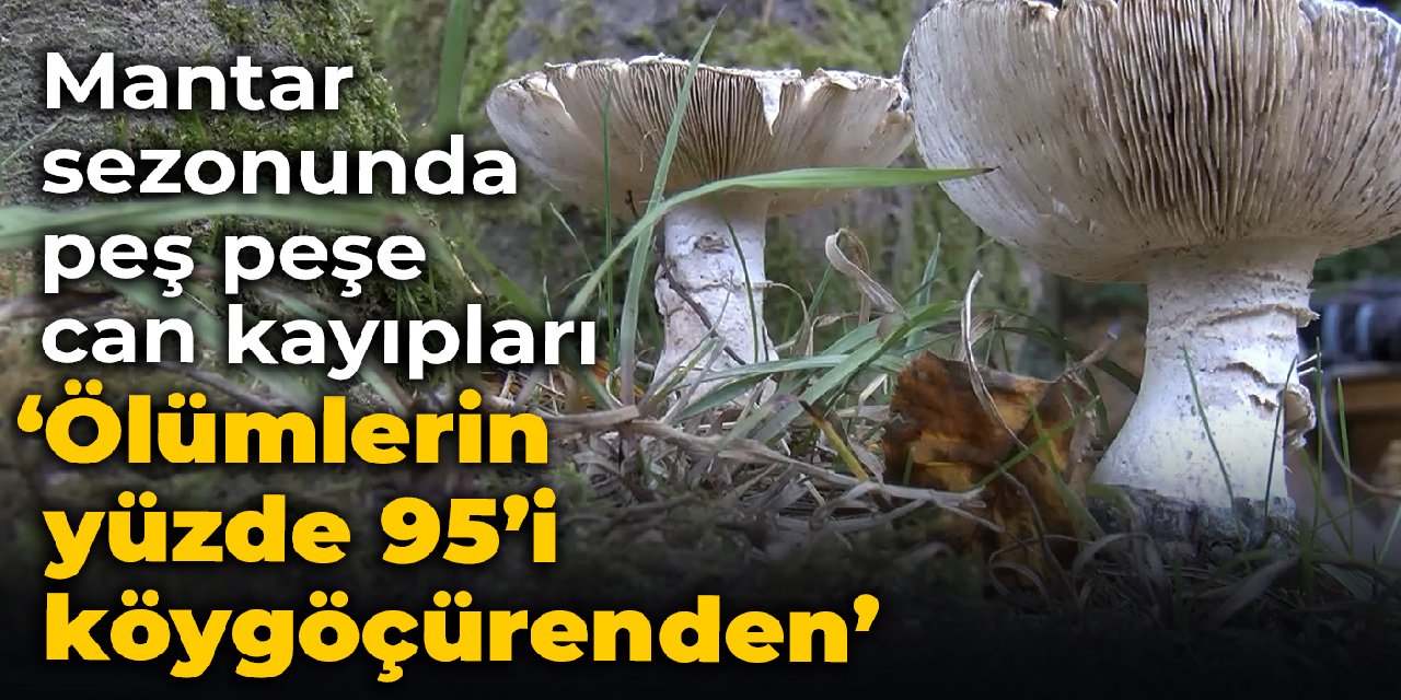 Mantar sezonunda peş peşe can kayıpları: Ölümlerin yüzde 95'i köygöçürenden